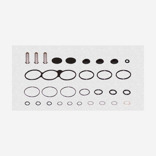 VALVE REPAIR KIT - ECAS SOLENOID REPAIR KIT